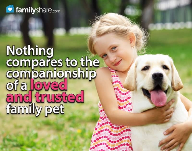 Share The Love: Choosing A Family Friendly Pet - FamilyToday