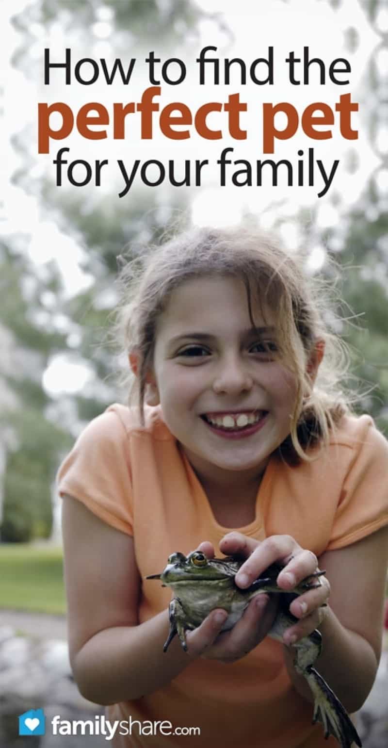 How To Find The Perfect Pet For Your Family - FamilyToday