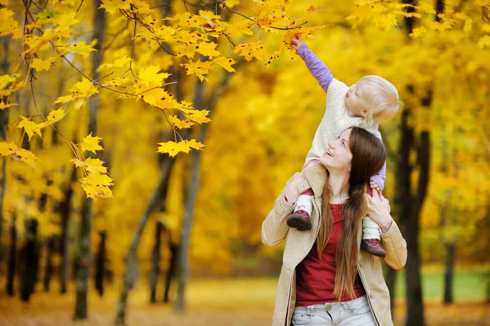 Story: The Glue That Holds Families Together - FamilyToday